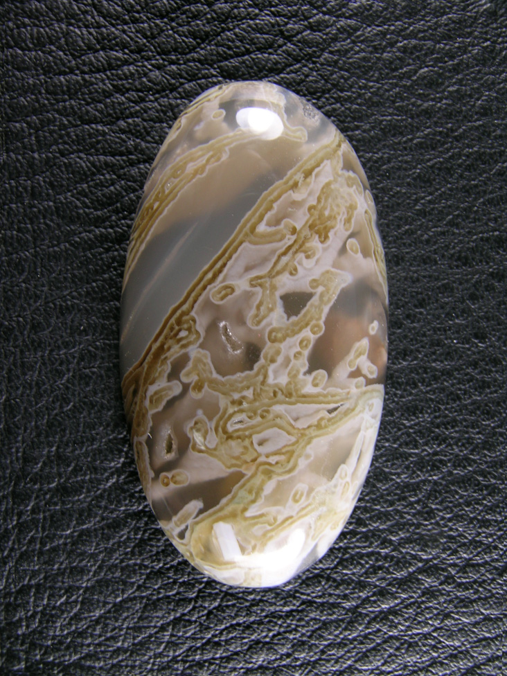 Horse Canyon Agate